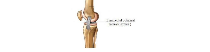 Ruptura , leziune de ligamanet colateral lateral ( extern ) - Ina ...